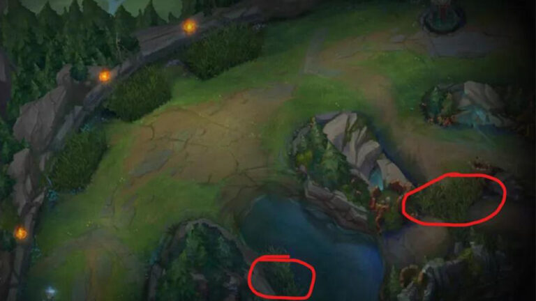 All League of Legends Roles Explained